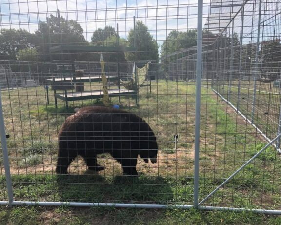 Wanderlust RV Park in Eureka Springs, Arkansas – Come share our park ...