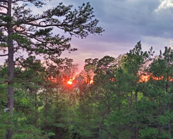 Wanderlust RV Park in Eureka Springs, Arkansas – Come share our park ...