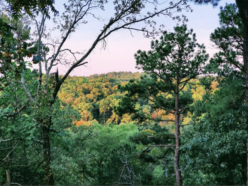 Photo Gallery - Wanderlust RV Park in Eureka Springs, Arkansas